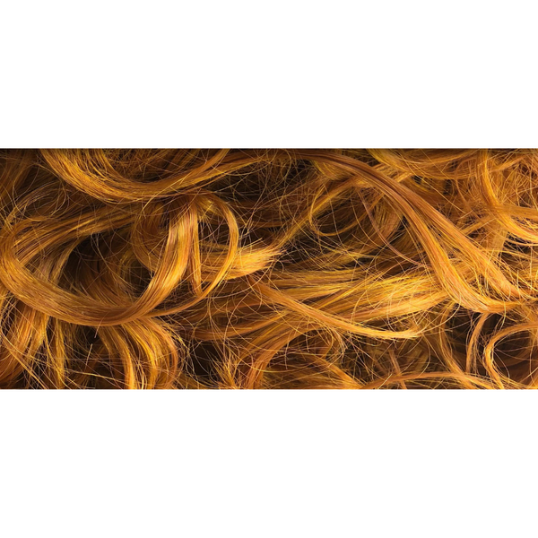 Camelia Rose Brigid Bun Wig – Ditto Dancewear