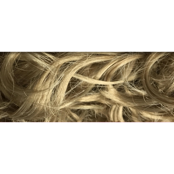 Camelia Rose Brigid Bun Wig – Ditto Dancewear