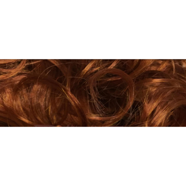 Camelia Rose Brigid Bun Wig – Ditto Dancewear